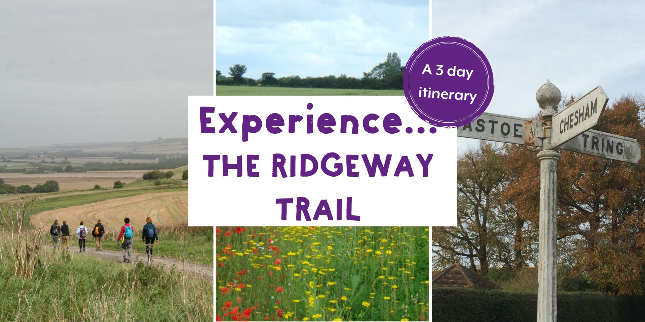 Experience The Ridgeway Trail – Experience Oxfordshire