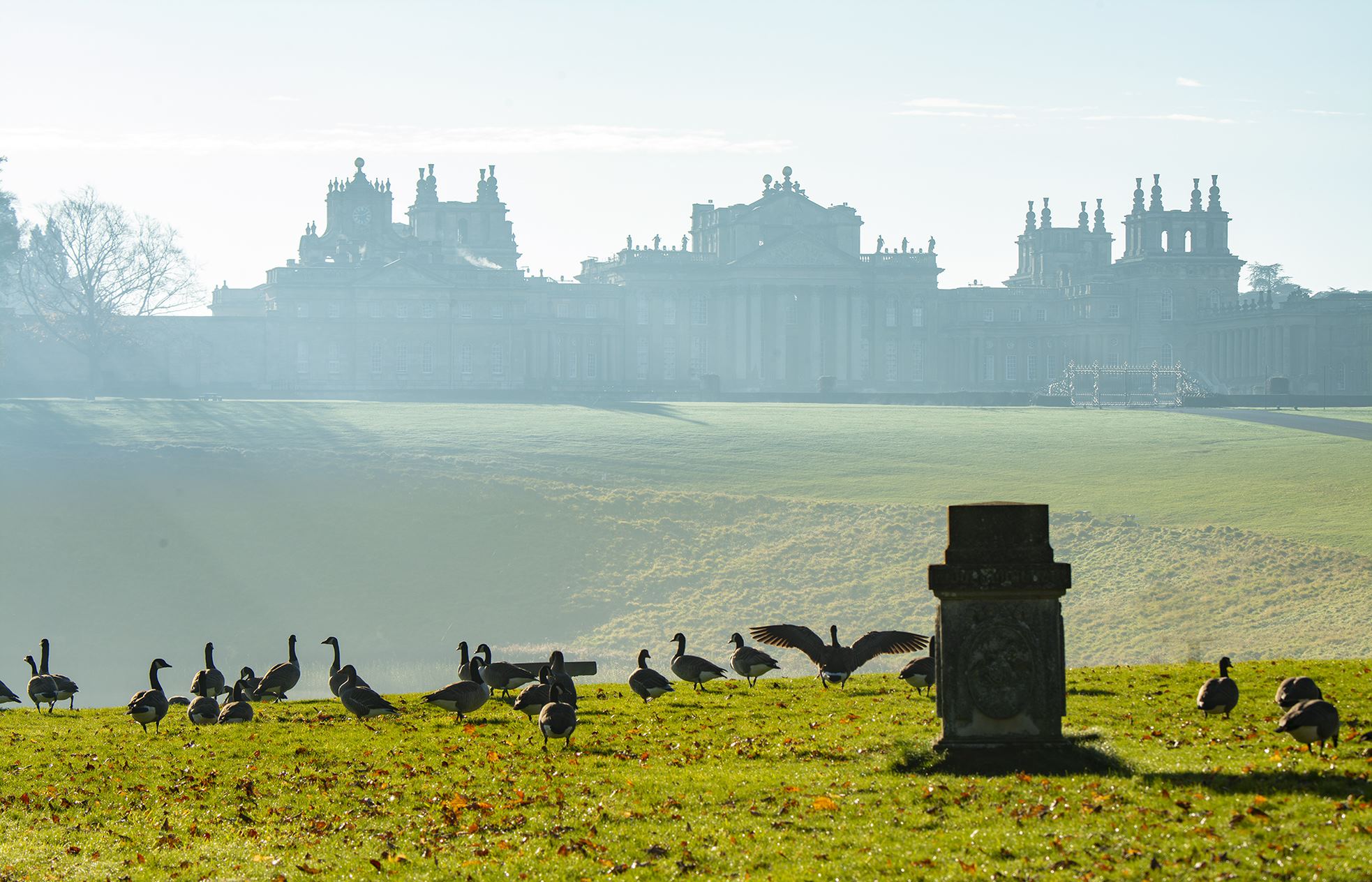 Blenheim Palace, Park and Garden Tickets – Experience Oxfordshire