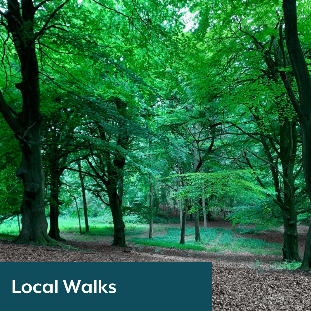Only in Oxfordshire - South Oxfordshire – Experience Oxfordshire