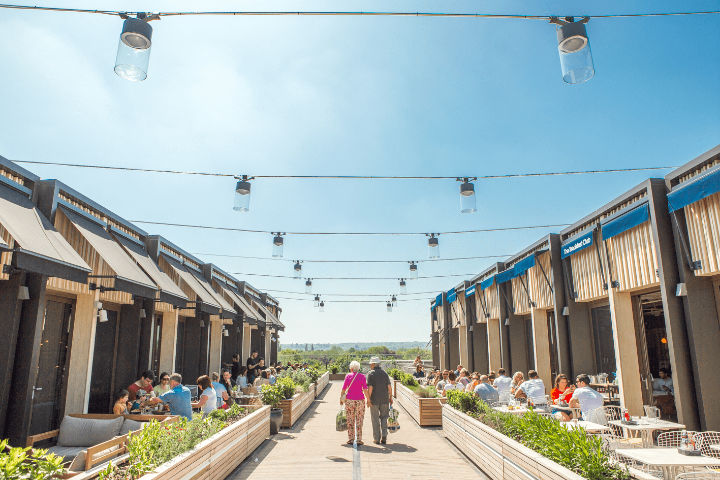 Westgate Oxford 'Tree of Pride' – Experience Oxfordshire