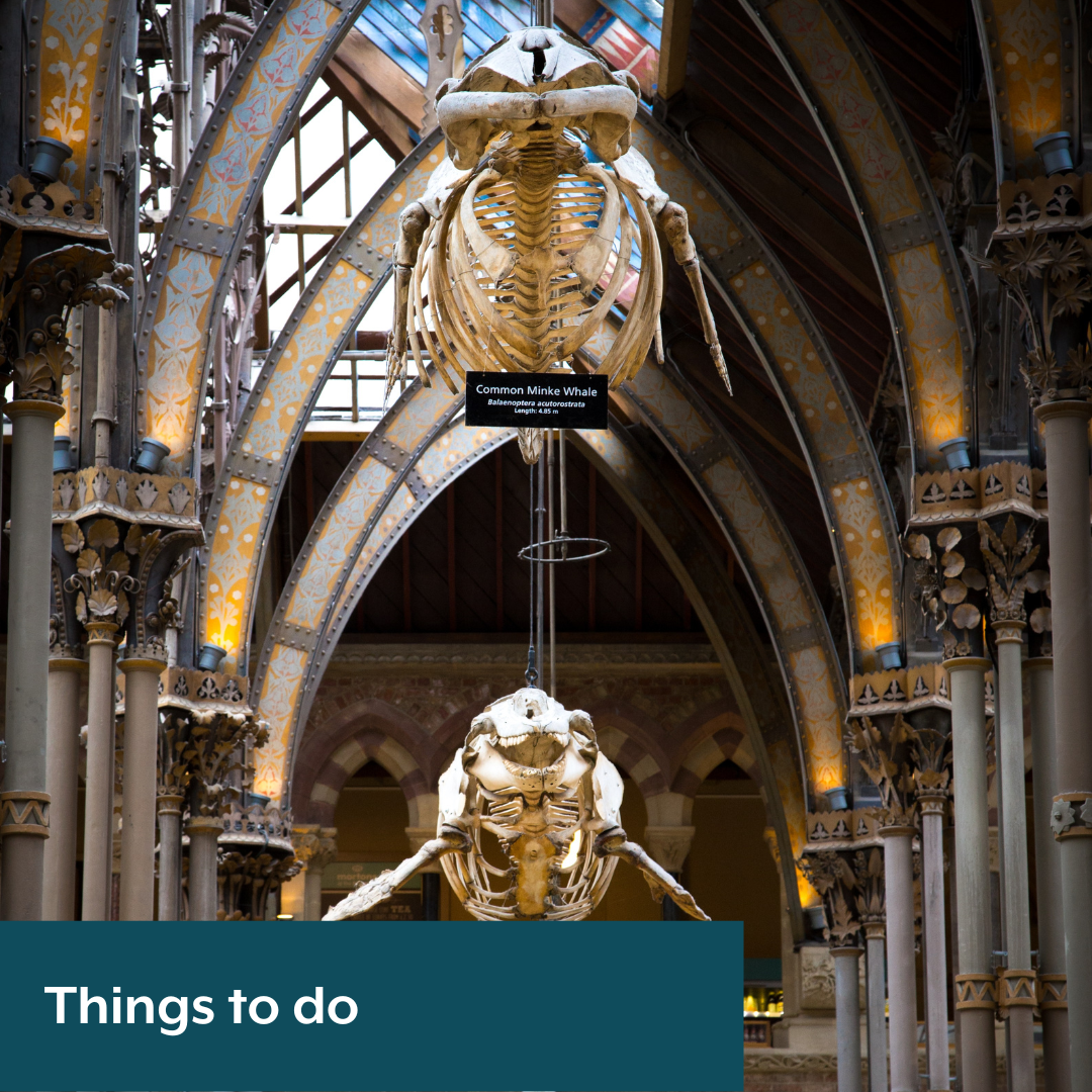 Only in Oxfordshire - Oxford – Experience Oxfordshire