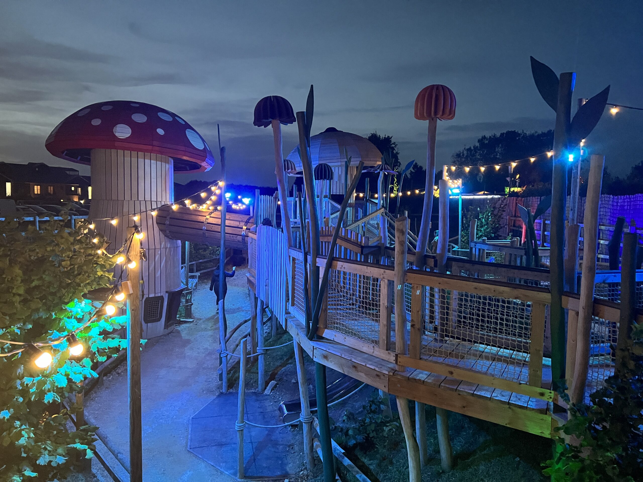 Oxfordshire's Longest-Running Light Show Returns for 2024: Fairytale ...