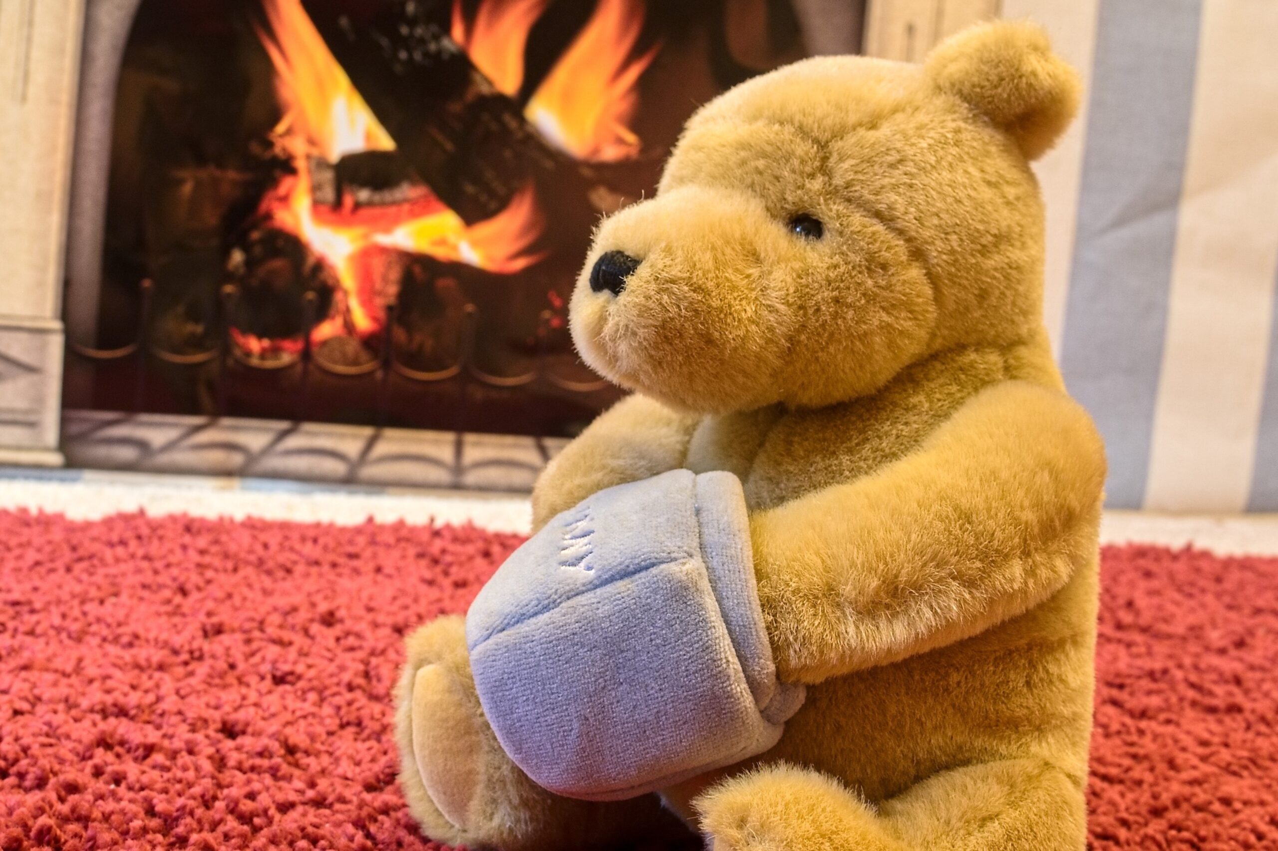 Winnie-the-Pooh Teddy Bear Picnic at Soldiers of Oxfordshire Museum ...