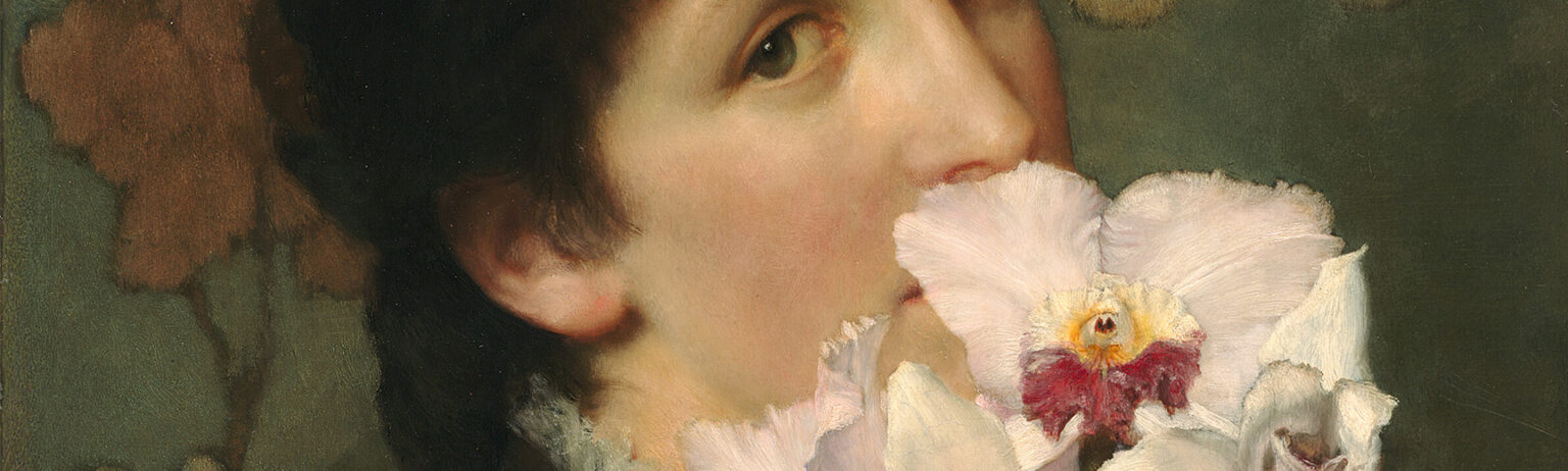 Ashmolean Museum 2026 Exhibition Programme – Experience Oxfordshire